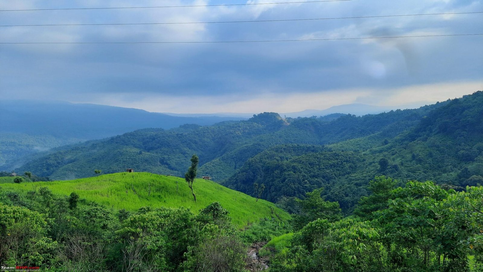 List Of National Parks In India (2025) – State-wise PDF Included