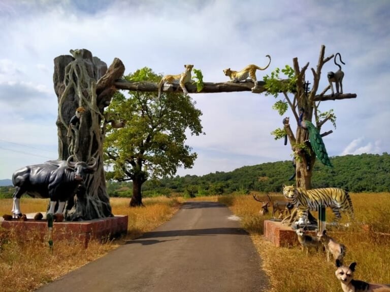 List Of National Parks In India (2025) – State-wise PDF Included