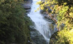 List Of National Parks In India (2025) – State-wise PDF Included